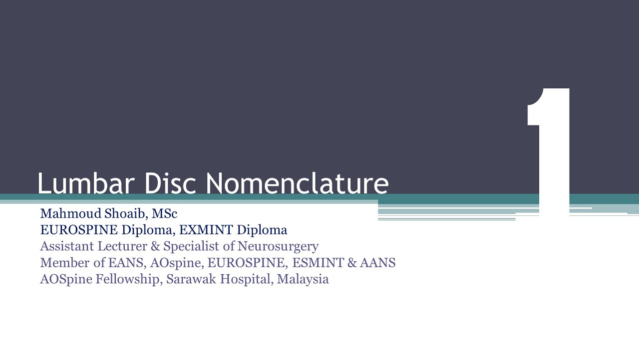 Lumbar Disc Nomenclature 01 - YouTube