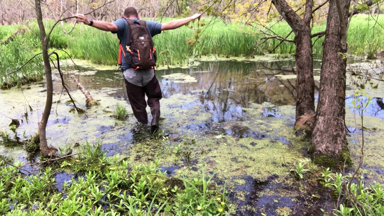 TRying to walk in my pond - YouTube