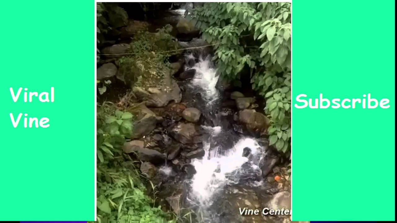 Monica Weitzel New Vine Compilation All VINES 2015 HD February - YouTube