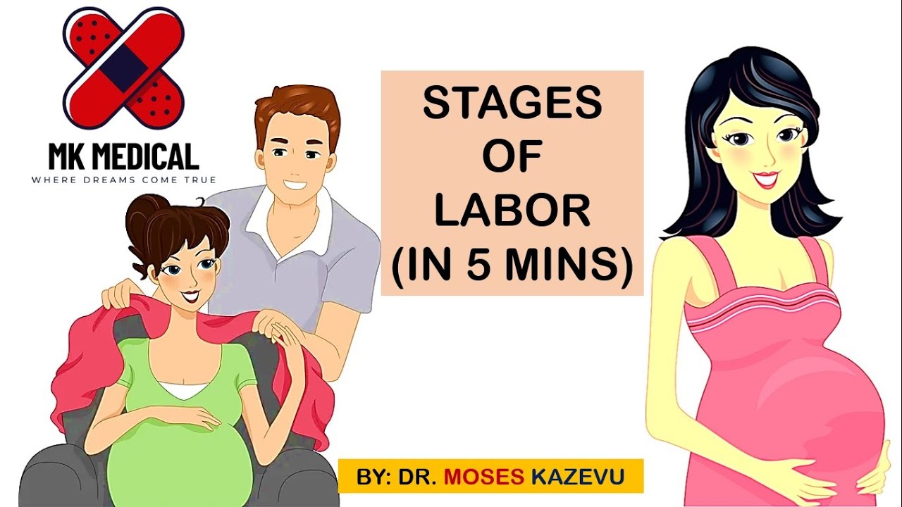 Stages of labor in 5 MINUTES - YouTube