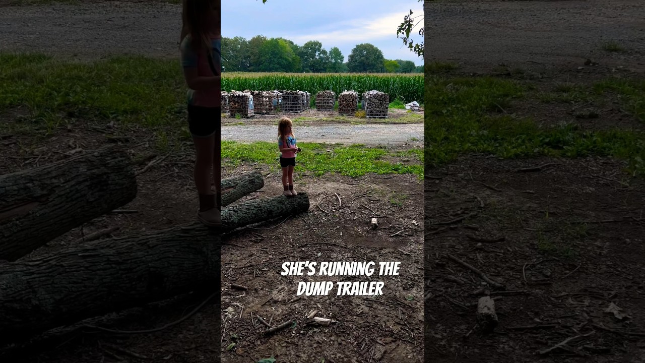 Getting logs with my pretty little helper!! #logsplitting #firewood # ...