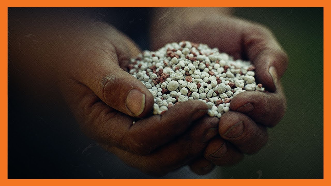 Government receives 34,400 tonnes of raw fertilizer - YouTube