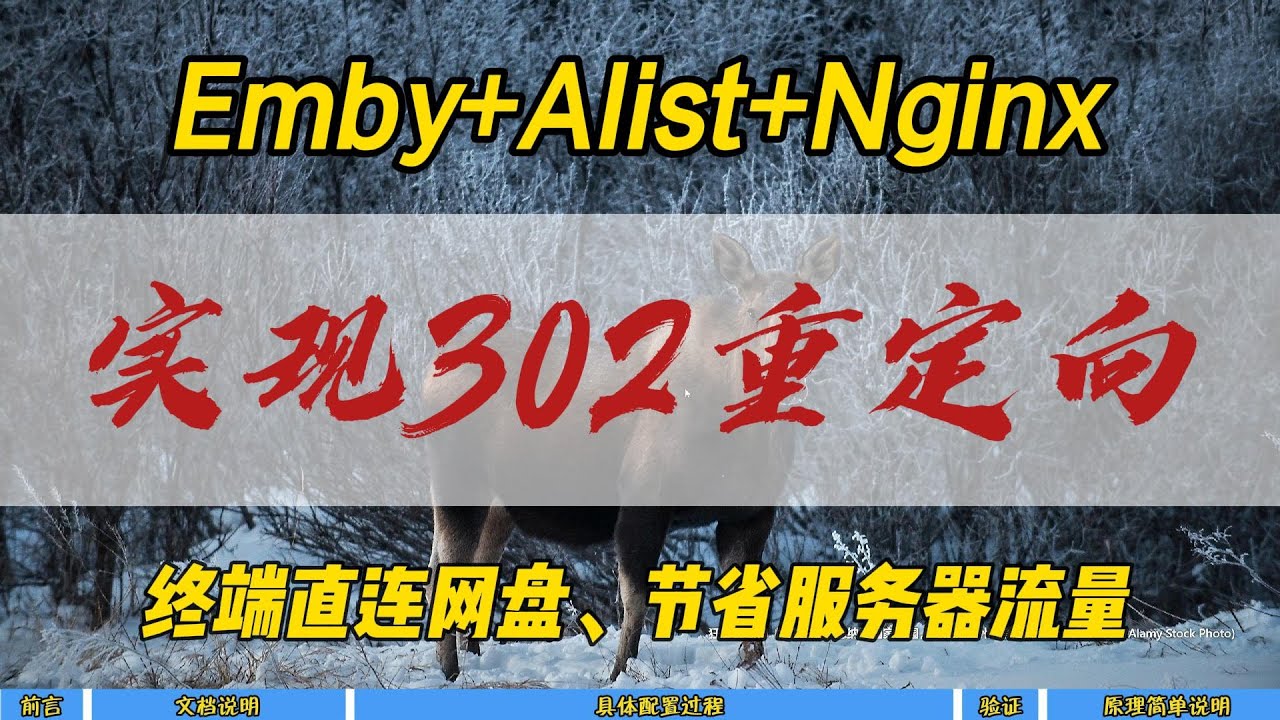 Emby+Alist+Nginx实现302重定向~终端直连网盘，节省服务器流量 - YouTube