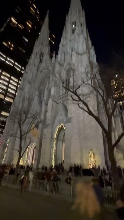 I love so much New York viral siganme aquí les Muestro un poco de lo que es New York - YouTube