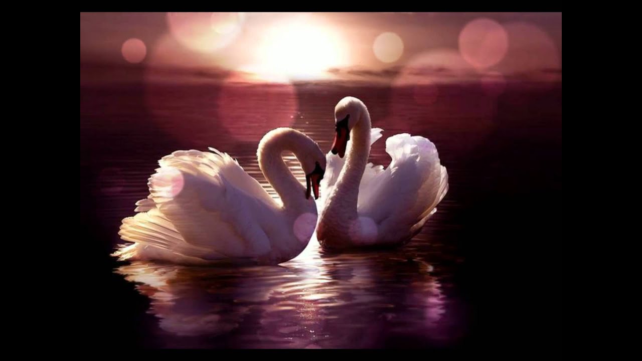 Moonlighting Theme - Al Jarreau - With Special Effects - YouTube