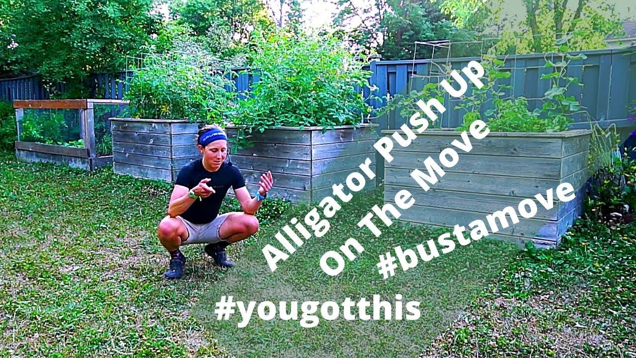 Alligator push up on the move - Push up ideas - YouTube