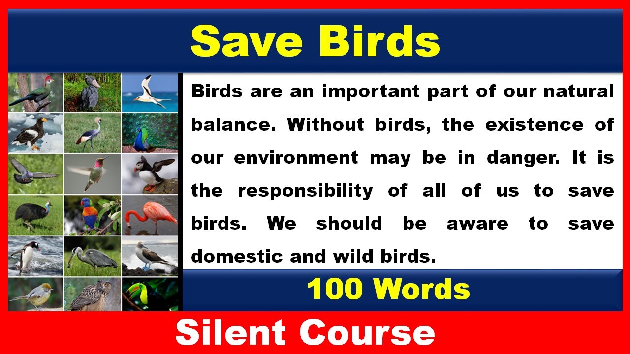 Save Birds Essay In English | Essay on Save Birds | Birds Essay | About ...
