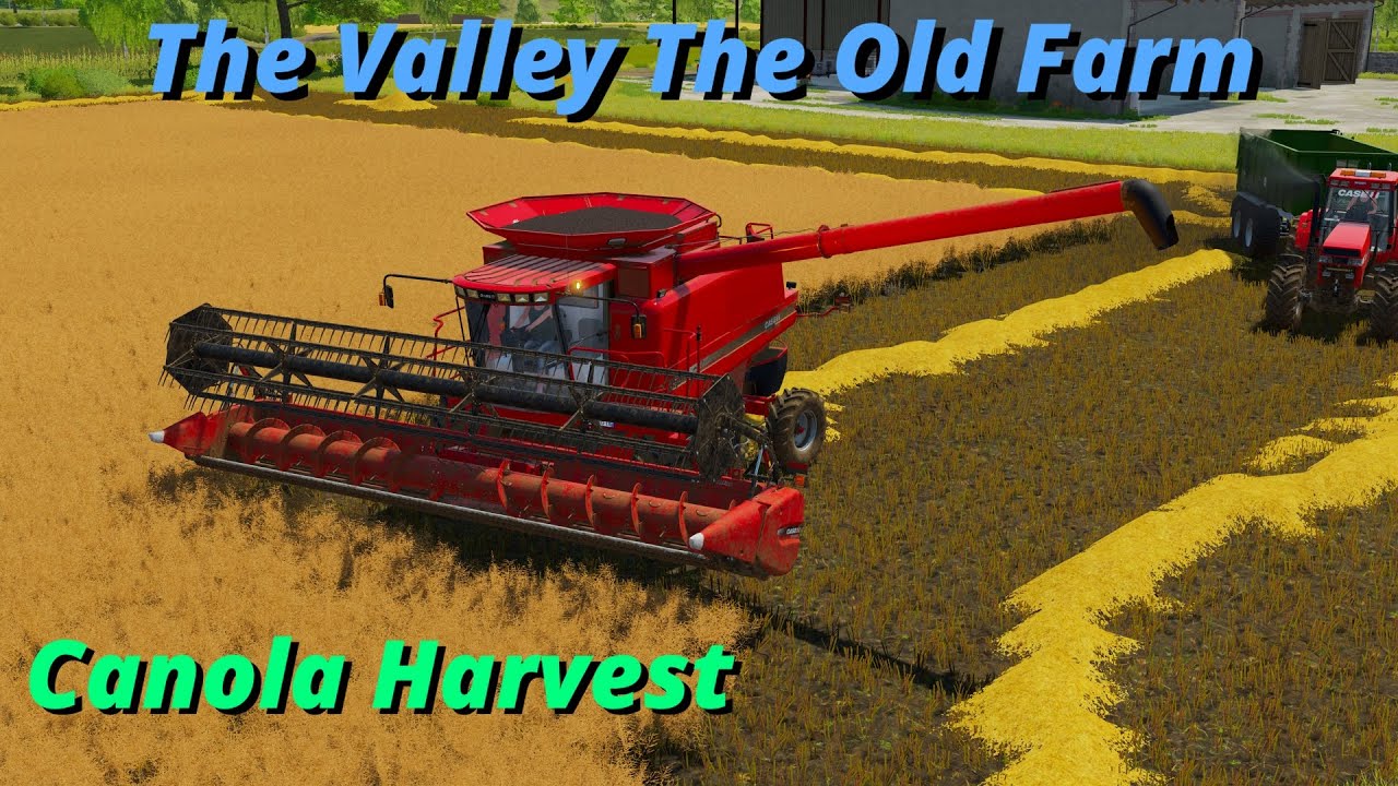 FS22 - A Challenge #29// Canola Harvest, Spotspraying and Fert ...