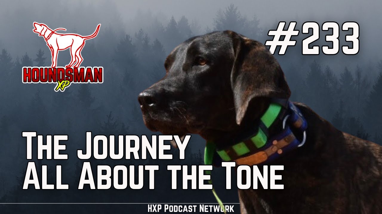 The Journey: All About the Tone - Dog Training, E-Collars & Capping ...