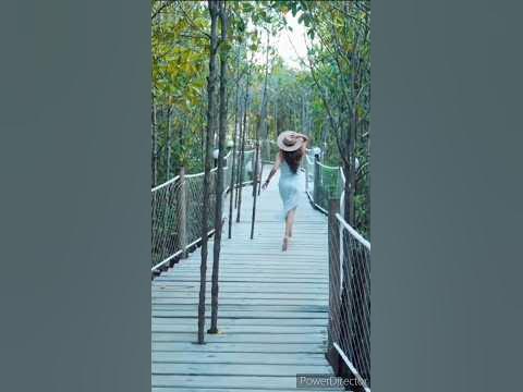 Мудрая Книга. Аму Мом.Ссылка на полное видео. - YouTube