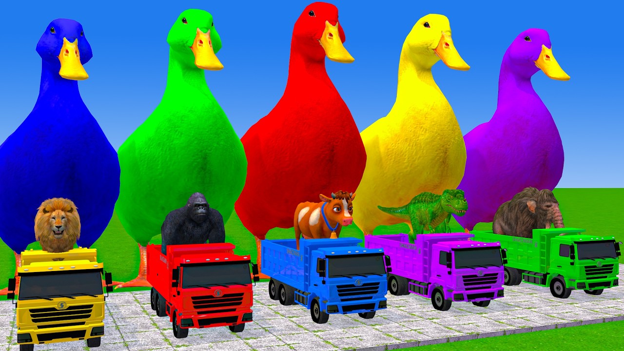 Long Slide Game With Cow Elephant Gorilla Hippopotamus Tiger 3d Animal ...