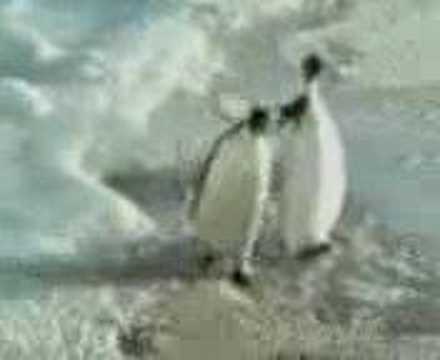 zape de pinguinos - YouTube