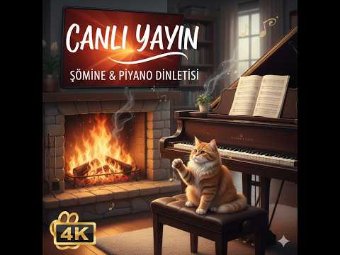 Şömine Önünde Rahatlatıcı Müzik CANLI | Derin Uyku, Meditasyon, Odaklanma & Sleep Music