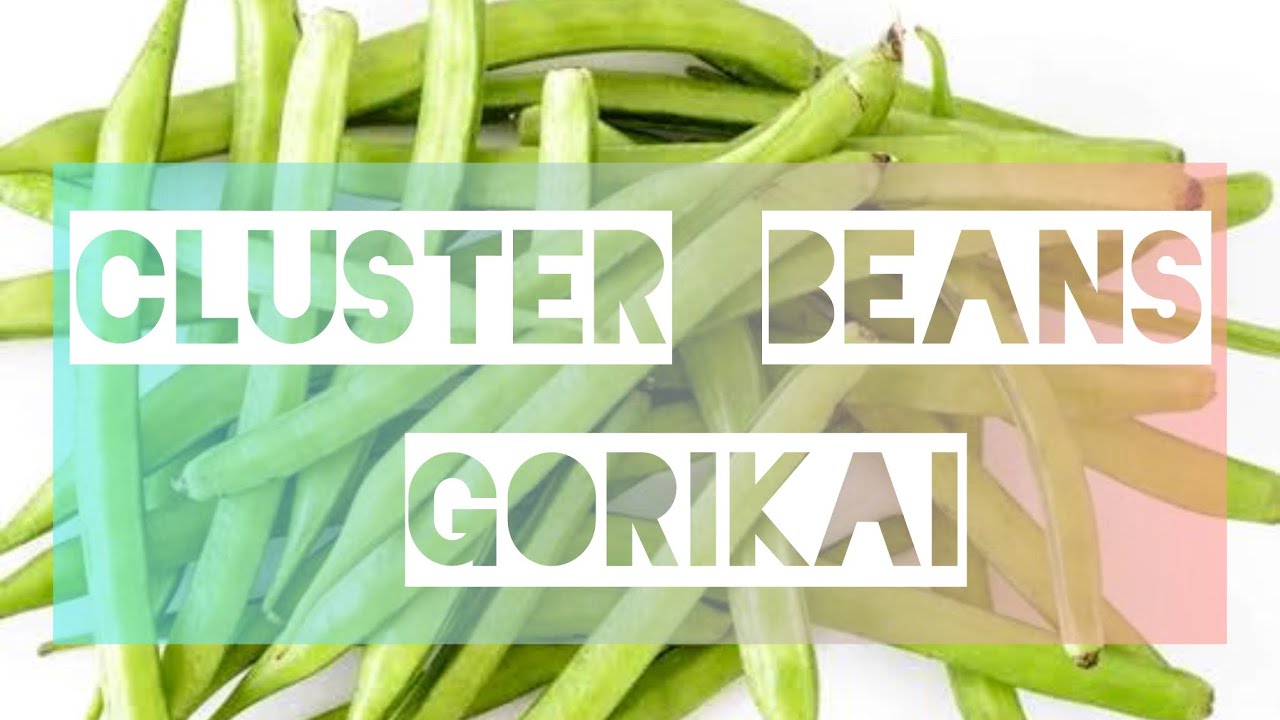 Cluster beans vegetable recipe - YouTube