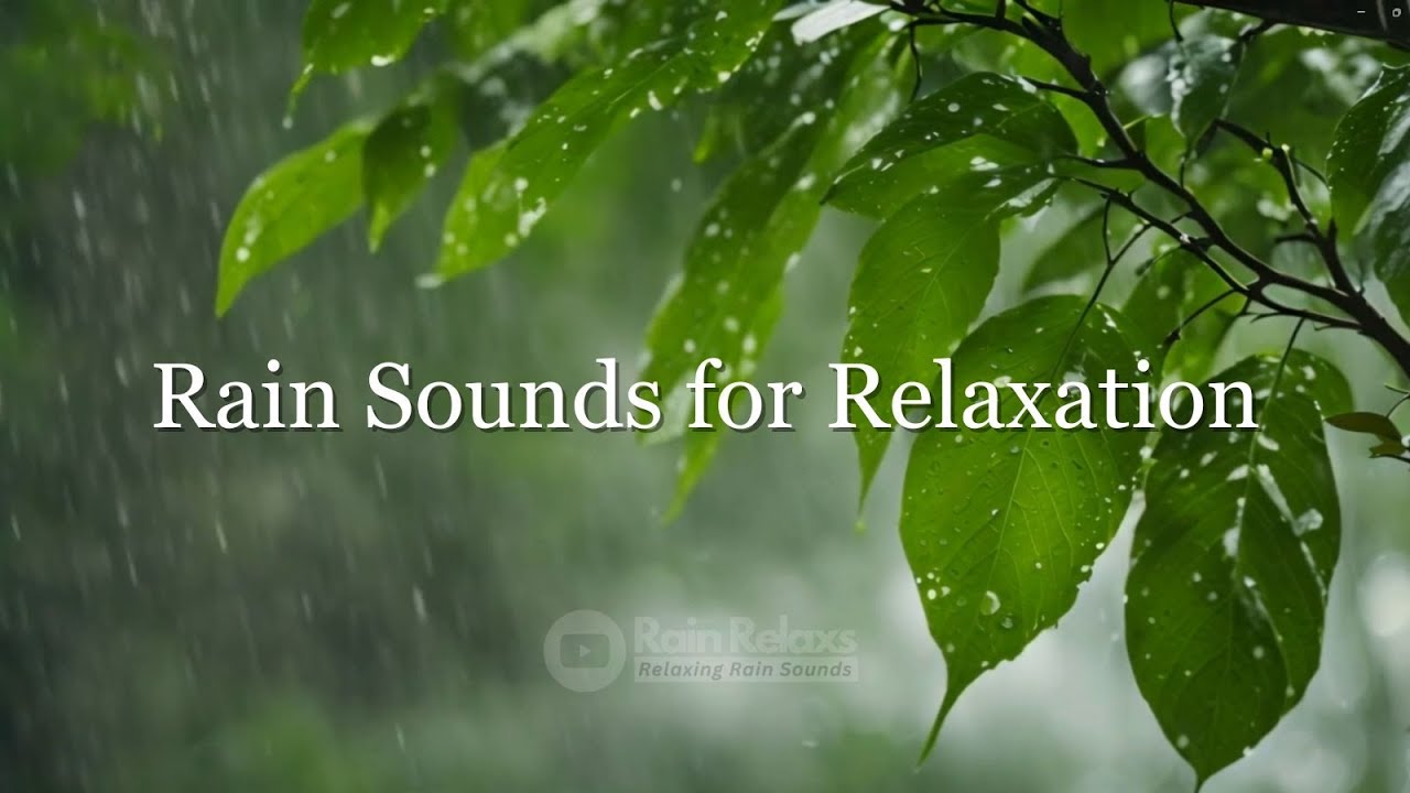 DEEP SLEEP Relaxing Rain Sounds | 10 Hour of Calming Rain for Sleep ...