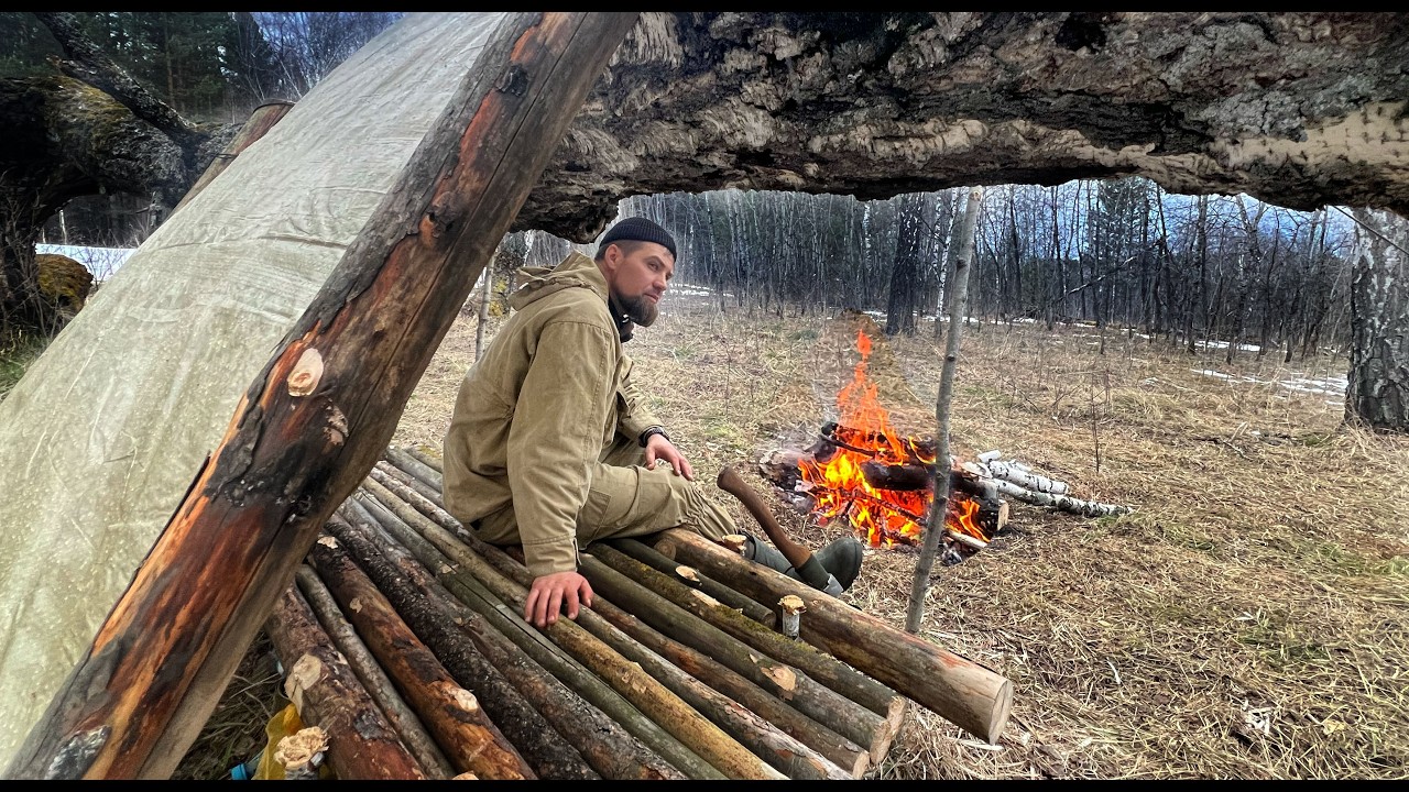 How To Create A Cozy Shelter: Amazing Camping Under A Big Tree in the ...