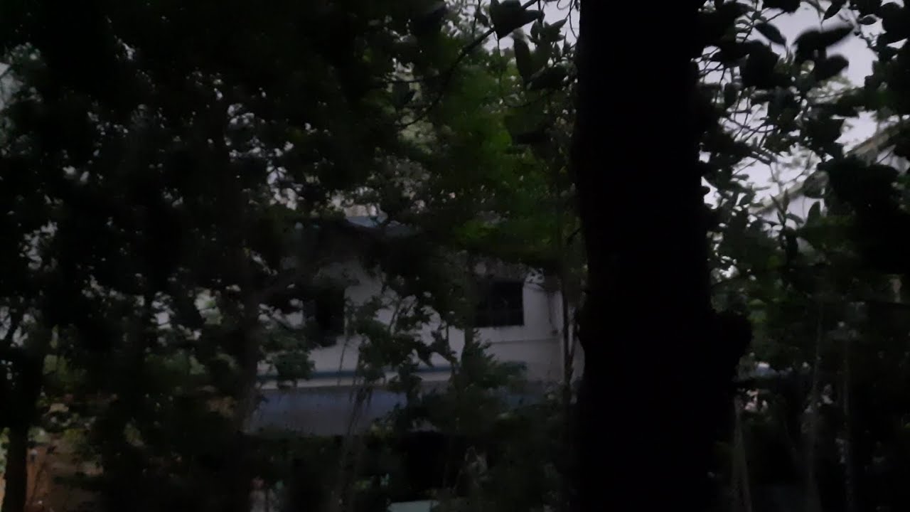 Bikela ato jhor bristi suru holo je r thamari nam nai.. - YouTube