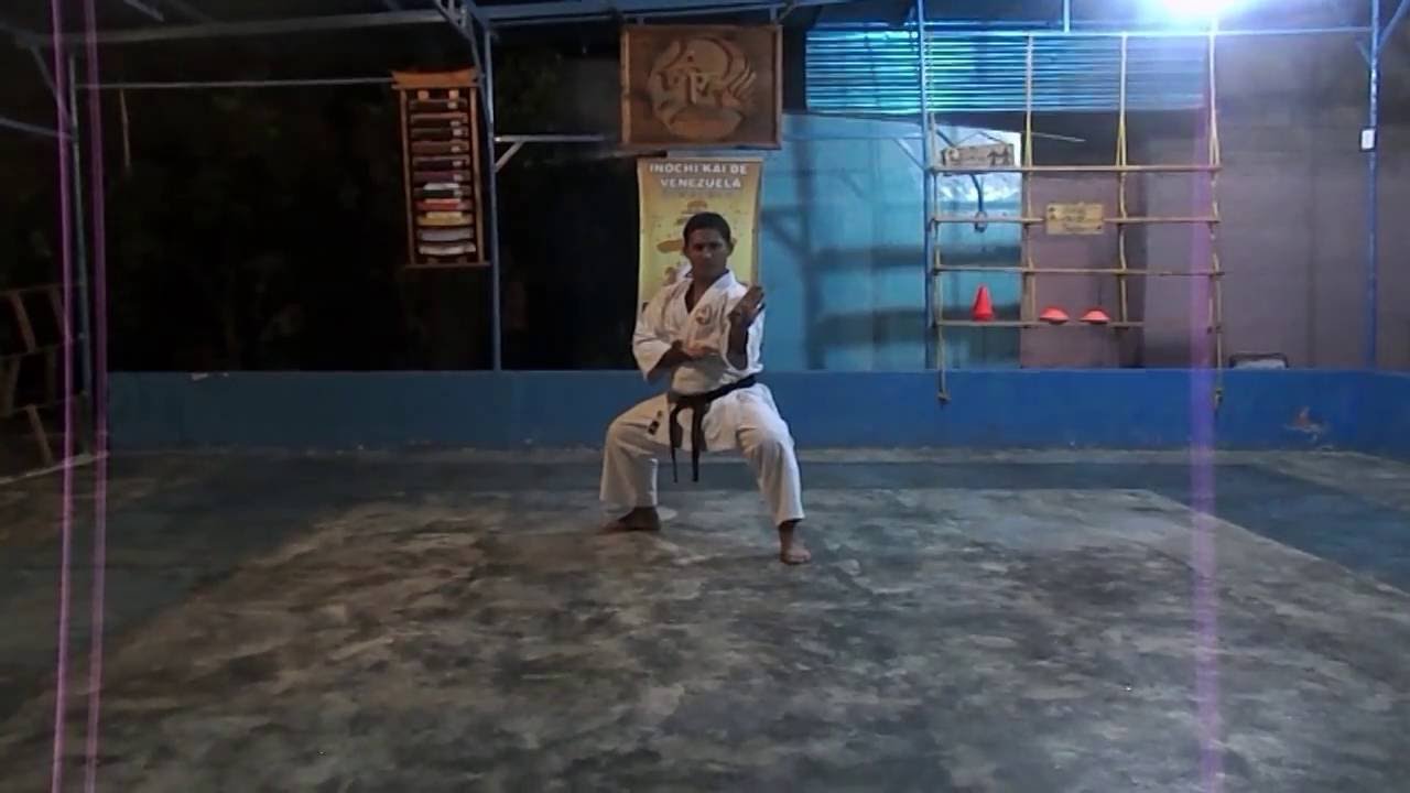 Kata Seienchin Shito Ryu / Inochi Kai - YouTube