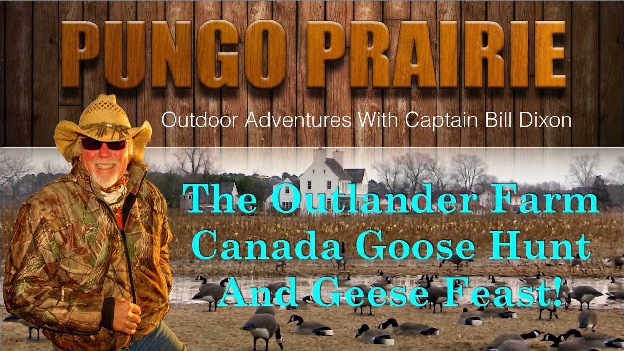 The Outlander Farm ~ Canada Goose Hunt And Geese Feast!! - YouTube