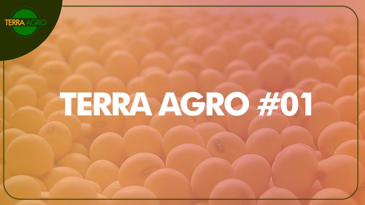 PROGRAMA TERRA AGRO - 13 06 2021 - YouTube