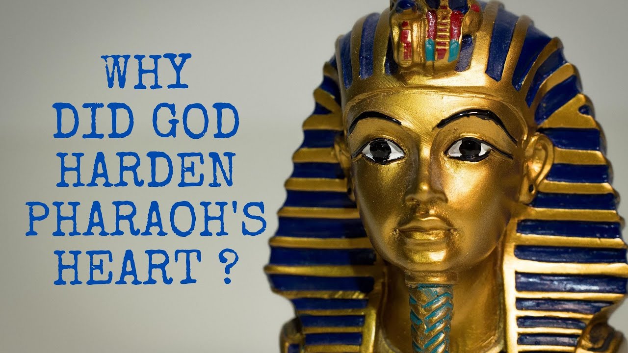 Why Did God Harden Pharaoh's Heart? - YouTube