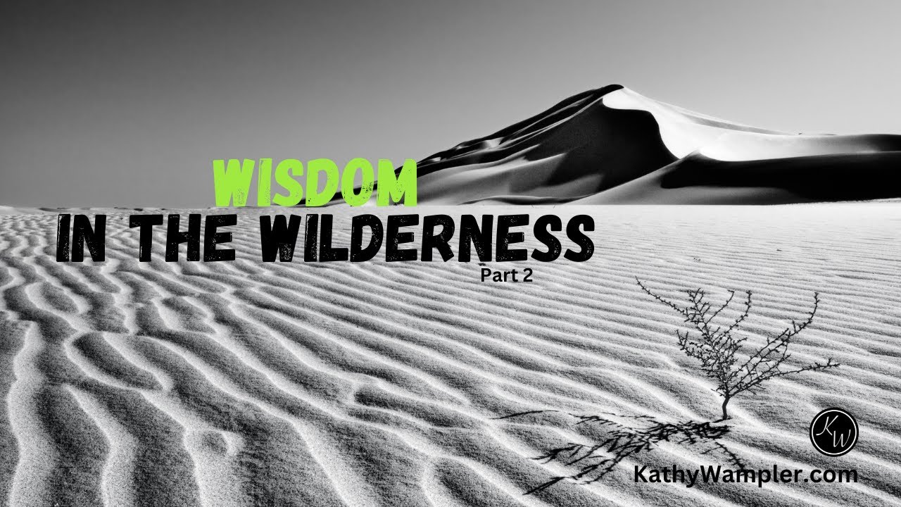 Wisdom In The Wilderness - Part 2 - YouTube