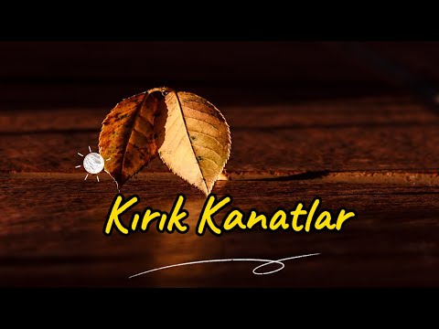 Düş Sokağı - Kırık Kanatlar [ enstrümantal ]