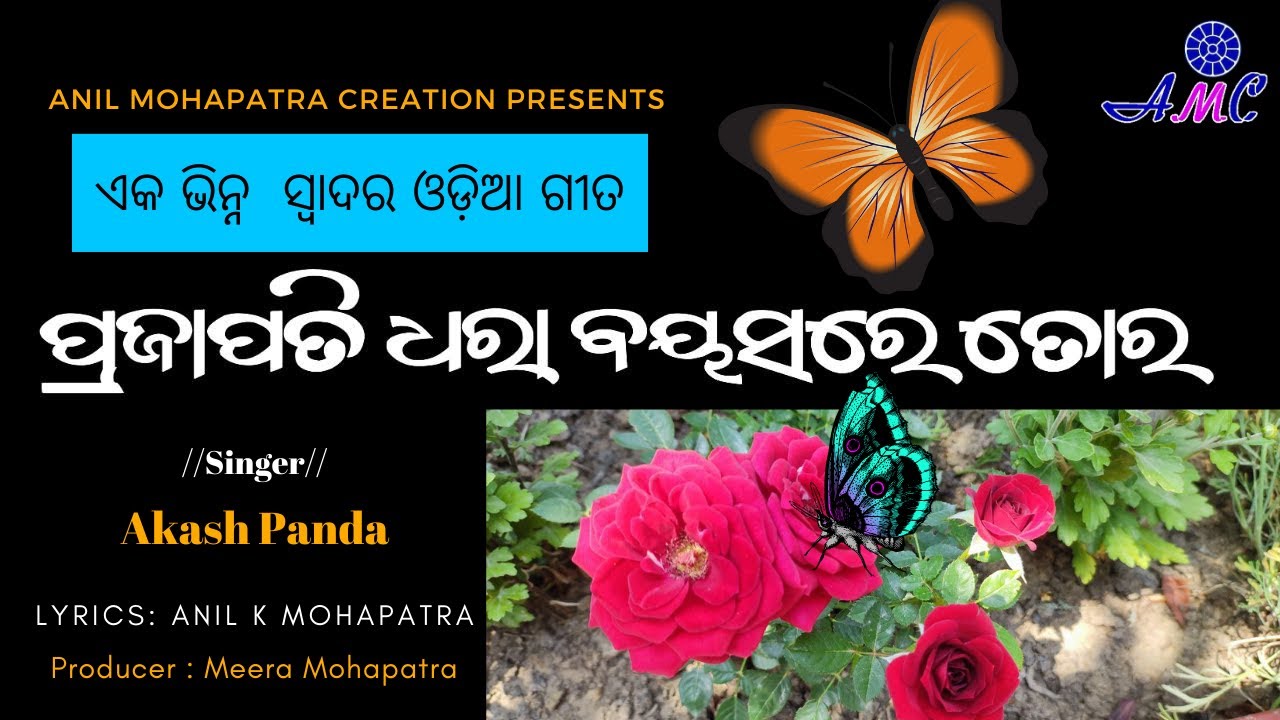 Prajapati Dhara I ପ୍ରଜାପତି ଧରା ବୟସରେ ତୋର I Singer: Akash Panda I Lyrics ...