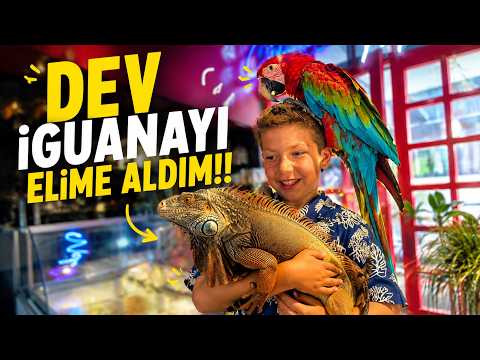 DEV İGUANA, DEV KAYDIRAK VE ATA BİNDİM!! 😱
