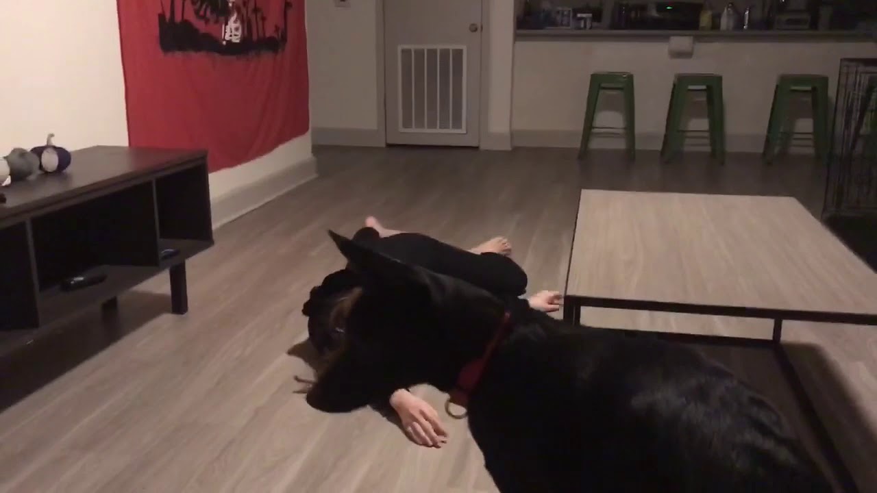 Faking My Death In Front Of My Dog - YouTube