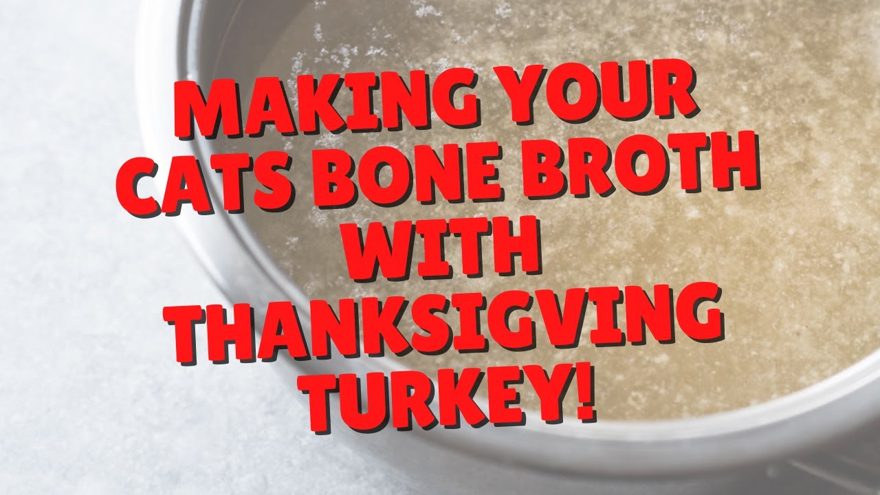 How To Use Your Turkey Carcass To Make Bone Broth | Two Crazy Cat ...