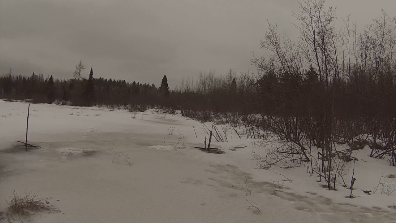 Trapping Fisher CH#28 Feb.24 2017 - YouTube