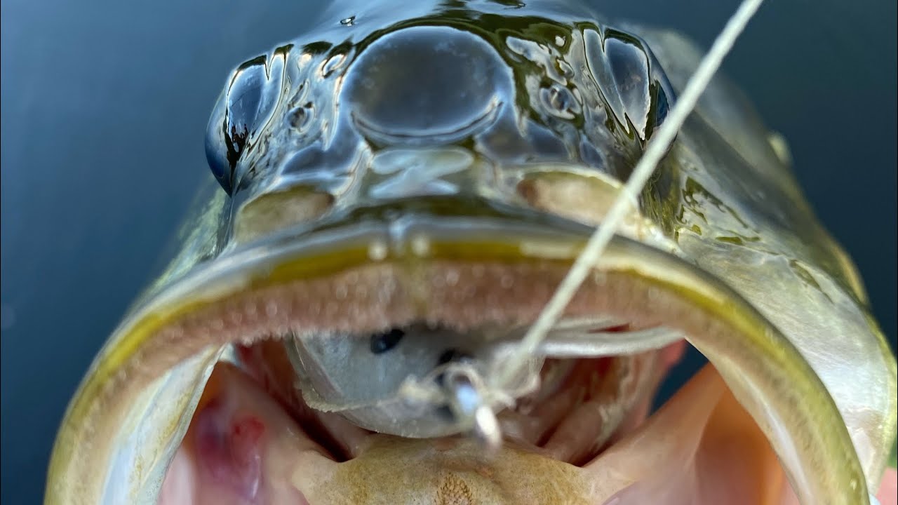 Fall Frog Fishing - YouTube