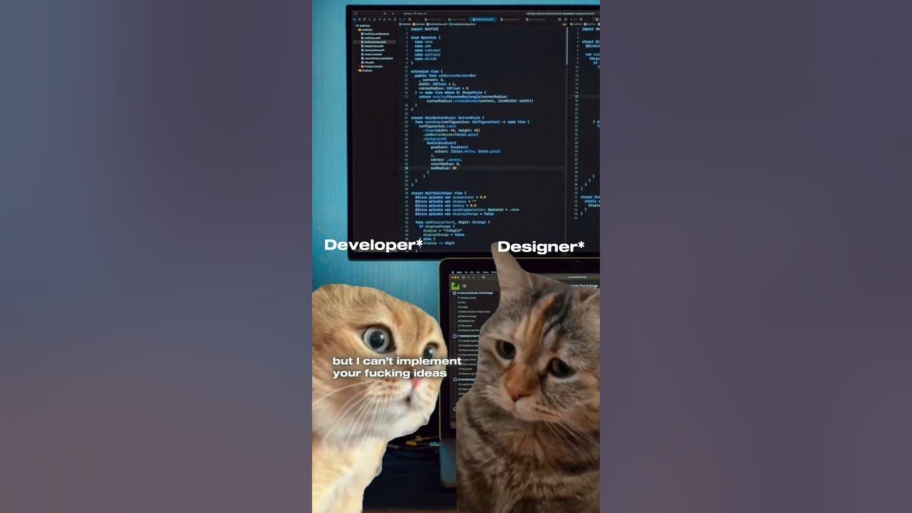 The Sad Life Of Programmers Meme Codingmeme Youtube