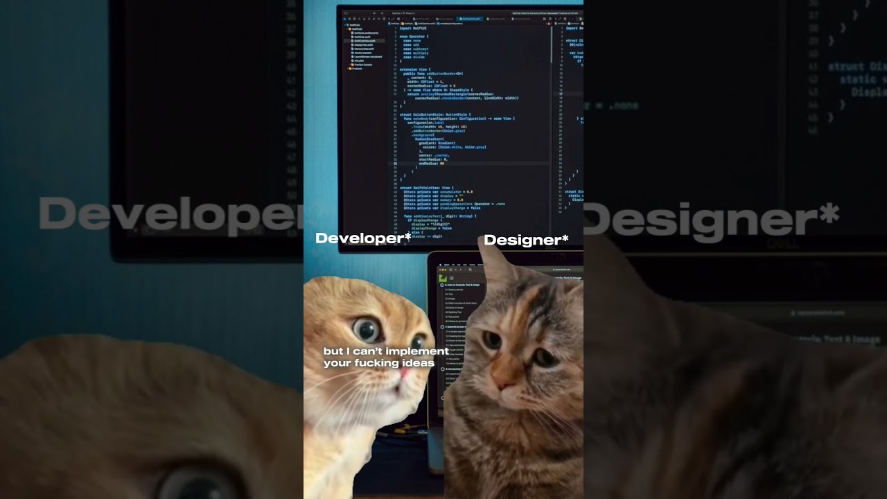 The Sad Life Of Programmers Meme Codingmeme