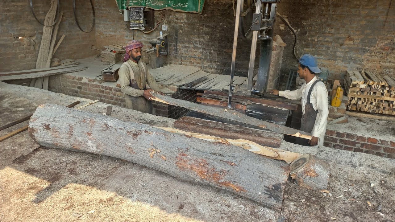 Sawmill work and experience wood worker #sawmill #machine #sawblade # ...