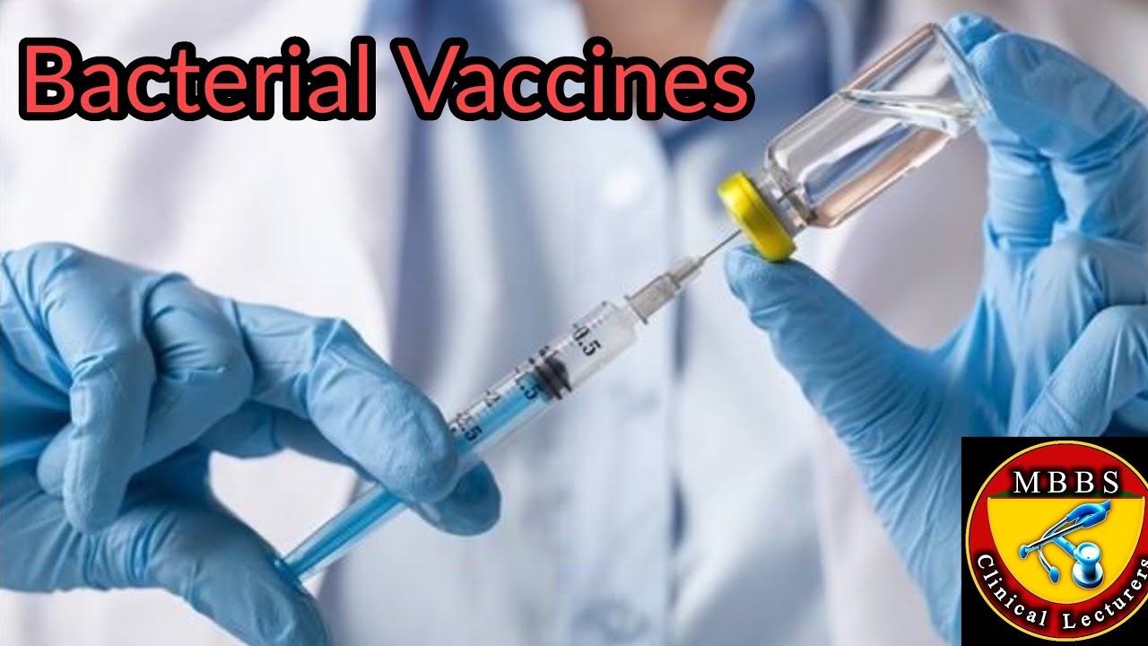 Bacterial Vaccines #bacteria #vaccine #vaccines - YouTube