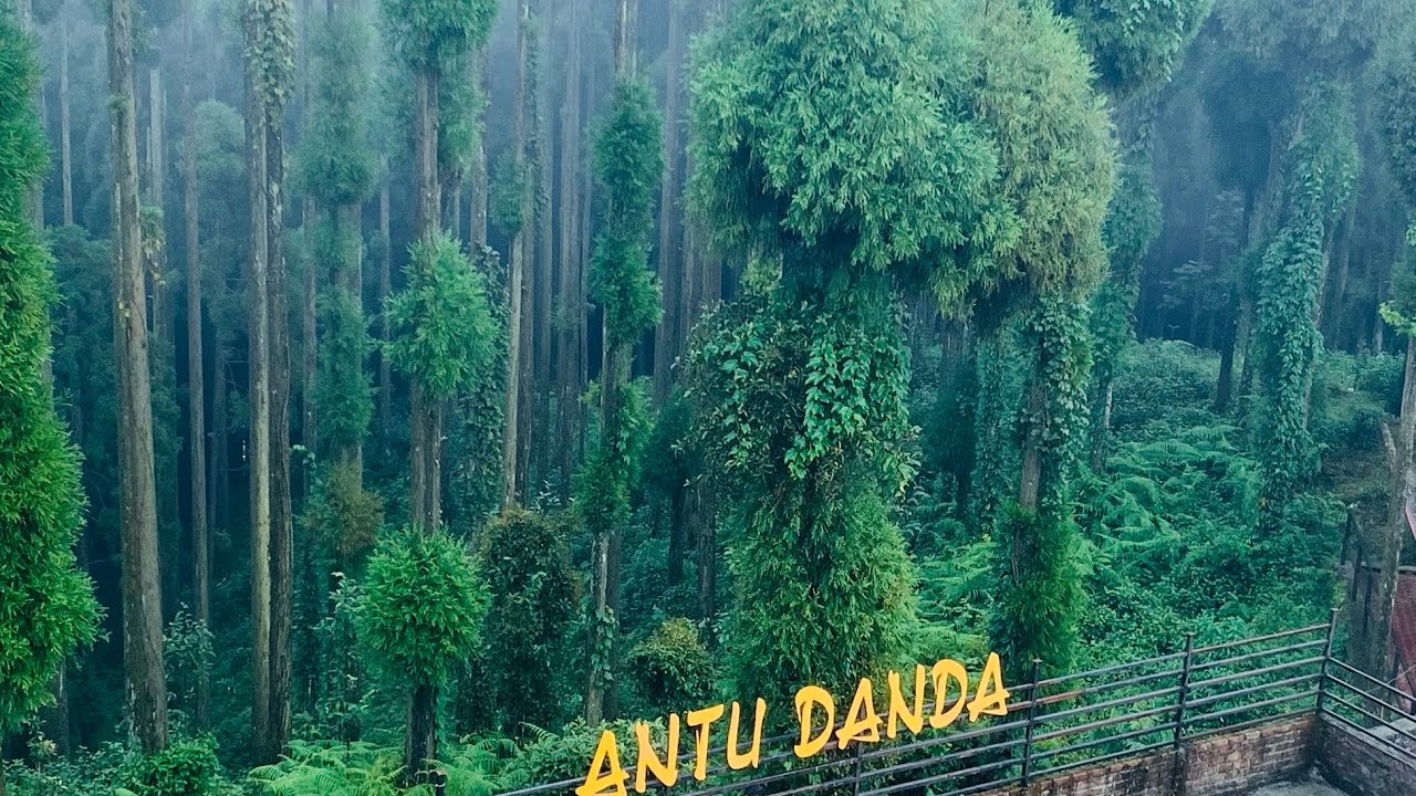 अन्तु डाँडा इलाम । Antu Danda Ilam Nepal - YouTube