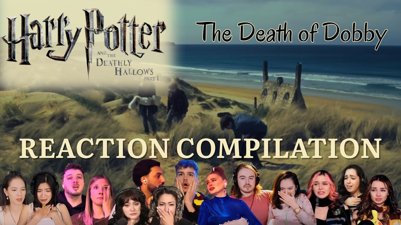 Harry Potter and the Deathly Hallows Part I (2010): The Death of Dobby ...