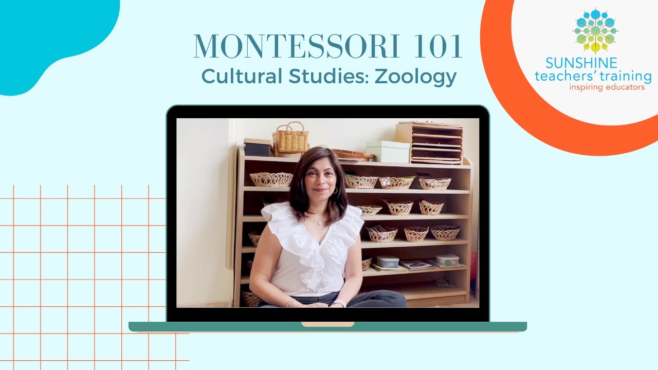 Montessori 101 Zoology - YouTube