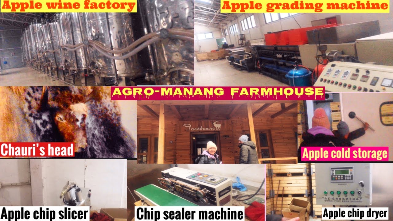 AGRO-MANANG COMPANY ||| BIGGEST APPLE FARM VISIT||| EXPLORING LOCAL ...