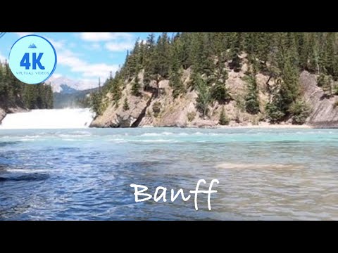 BANFF Virtual Walk - Bow River Trail to Bow Falls View Point - 4K - YouTube