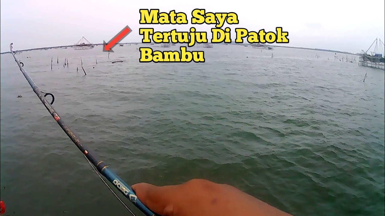 Mata Saya Tertuju Di Patok Bambu, Mancing Di Bagan Marunda Pak jumadi ...