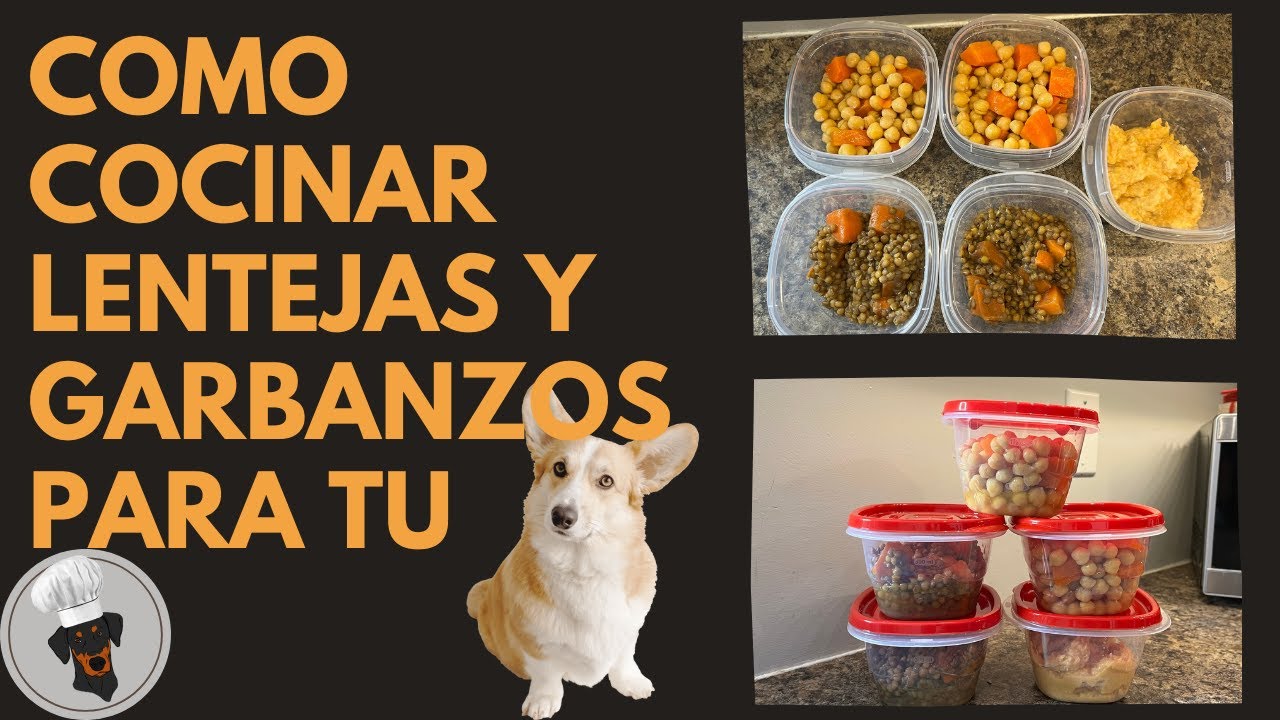 Como cocinar Garbanzos y lentejas a tu Perro - Receta de Legumbres 3 ...