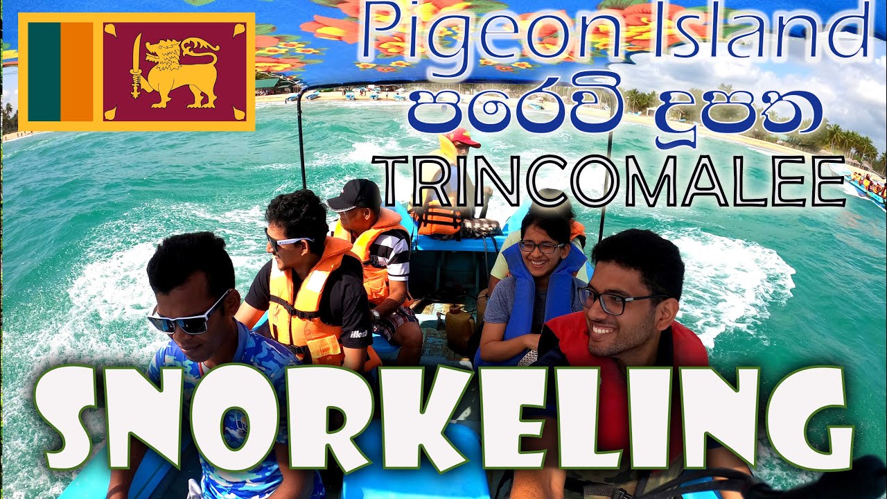 Snorkeling | Pigeon Island | Nilaveli | Trincomalee | Sri Lanka - YouTube