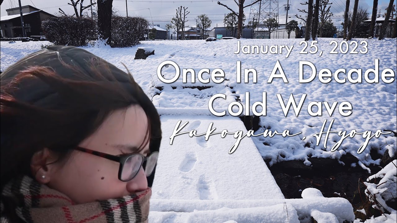 Day 2: Heavy Snowfall in Japan Part 2 | Walking From House To School ...