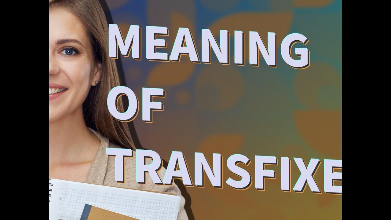 Transfixed | meaning of Transfixed - YouTube