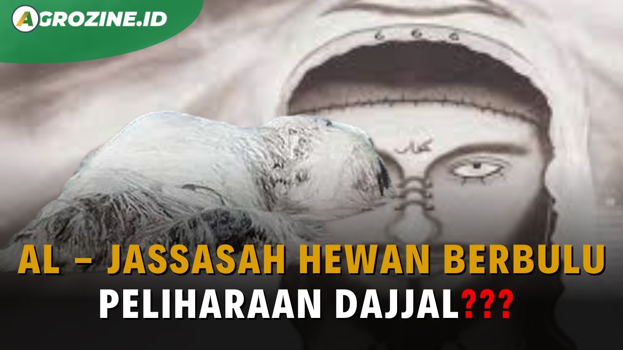 Dajjal Kirim Mata-Mata Berupa Makhluk Misterius Melalui Al Jassasah ...