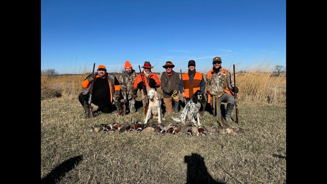 Highland Hideaway Pheasant Hunting - YouTube