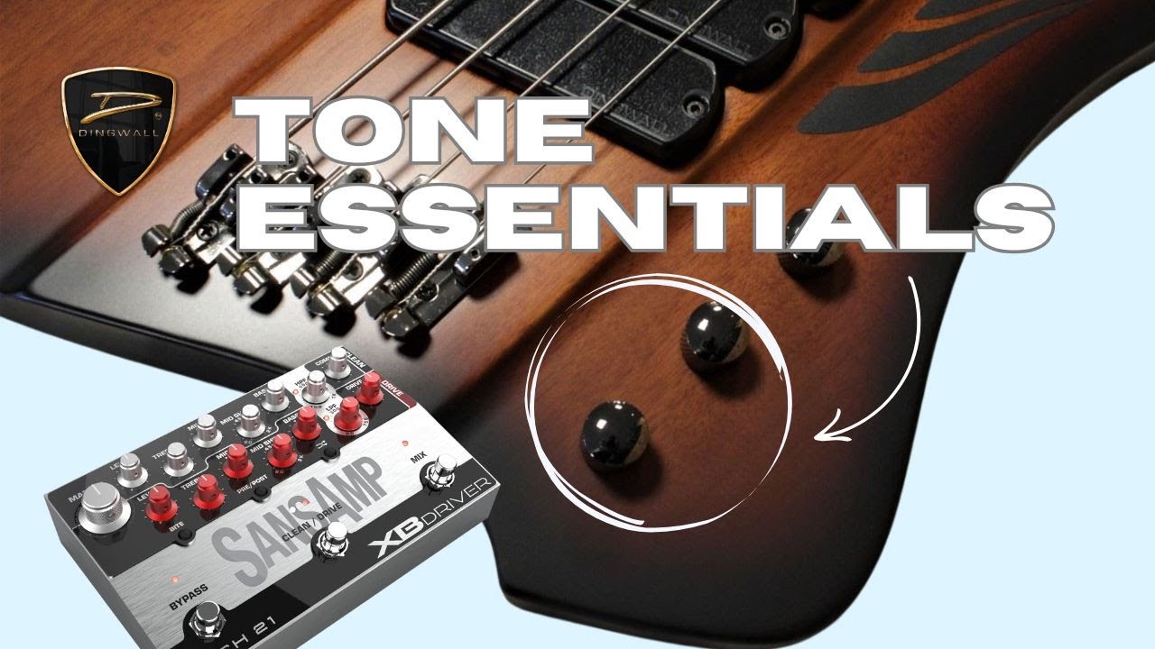 This Setup Sounds MASSIVE - Momo (Bass Playthrough) - YouTube